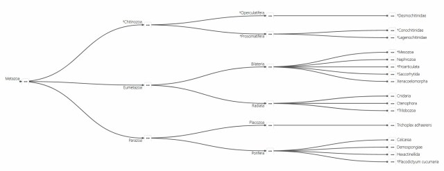 The Phylogeny Explorer Project | Science Meets Fiction